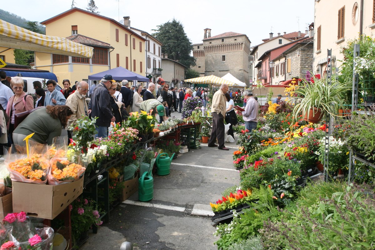 SAGRA DEL MARRONE - Comune di Castel del Rio